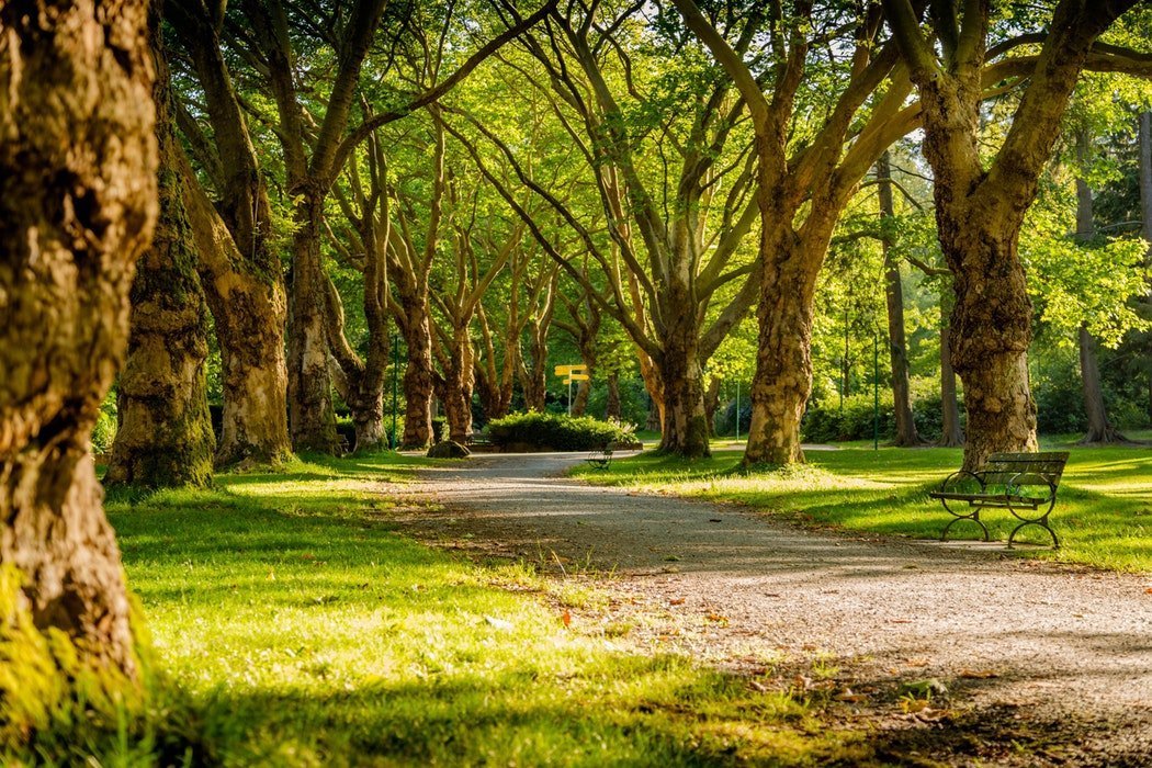 Discover the Best 6 Parks in Madrid - Ovation DMC Discover the Best 6 Parks in Madrid - Ovation DMC