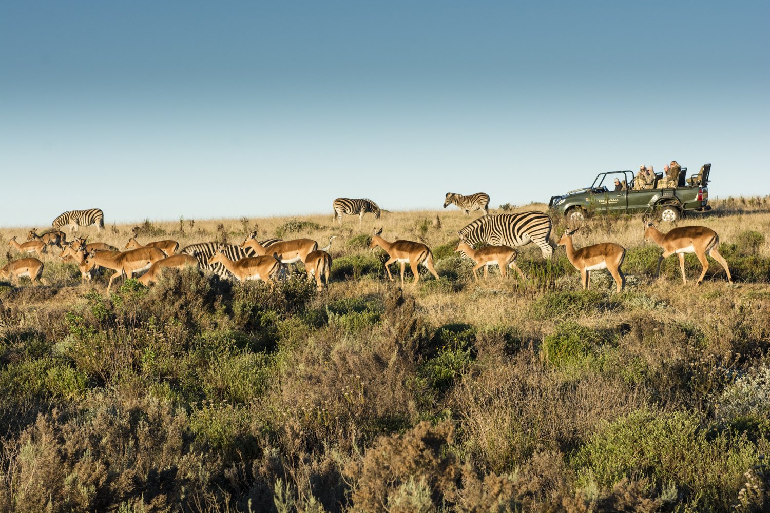 Social distancing VS Proximity to Nature - Ovation DMC